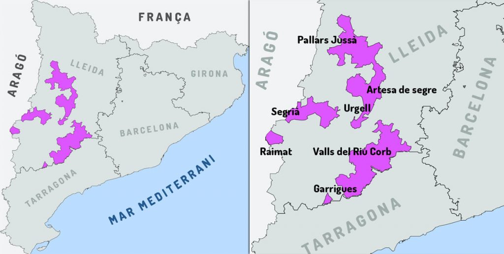 DO Costers del Segre - El Rebost de l'Avi lluís